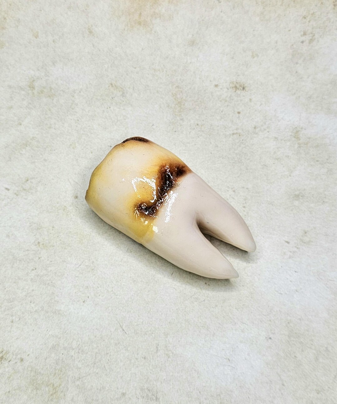 Tooth Pencil Sharpener With Cavities - Etsy