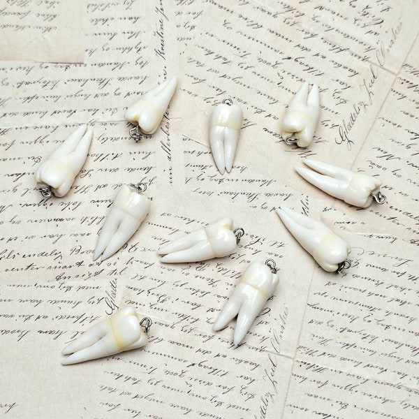 Human Teeth Jewelry - Etsy UK