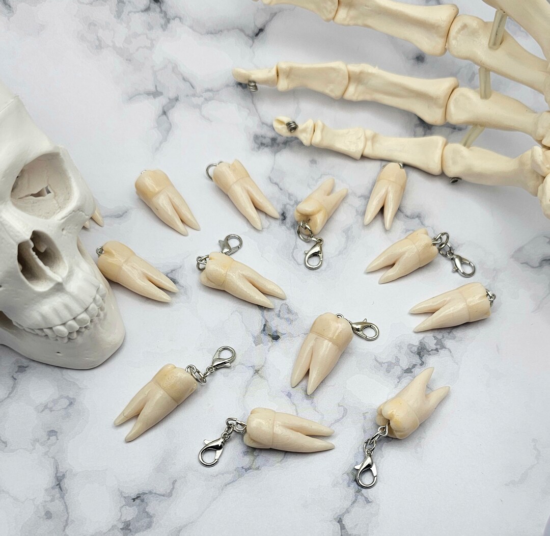 Molar Tooth Charm - Etsy