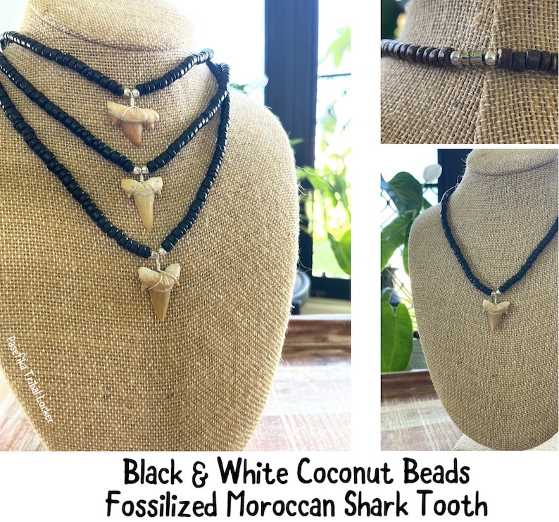 Authentic Mako & Fossilized Moroccan Shark Tooth Necklaces on Coconut ...