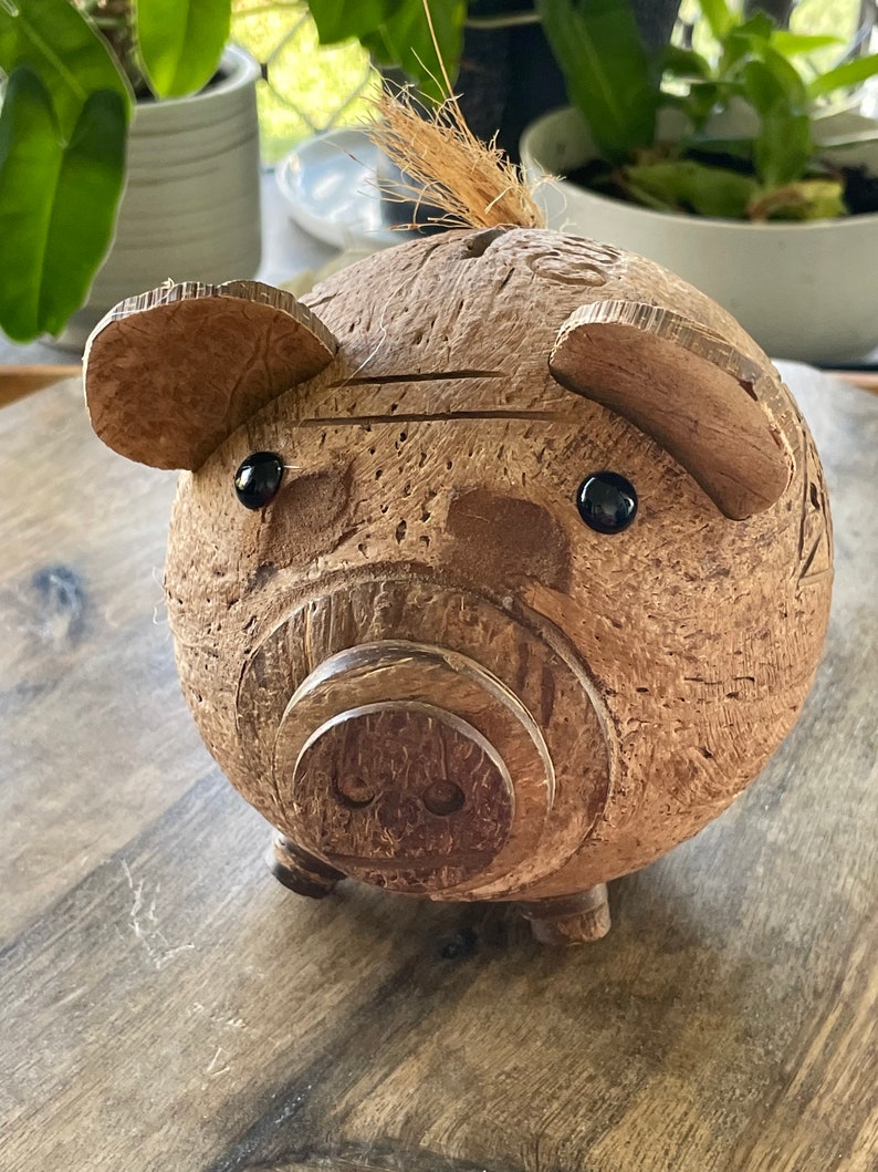 Hand Carved Coconut Piggy Bank – Guamanian Folk Art Display - Etsy