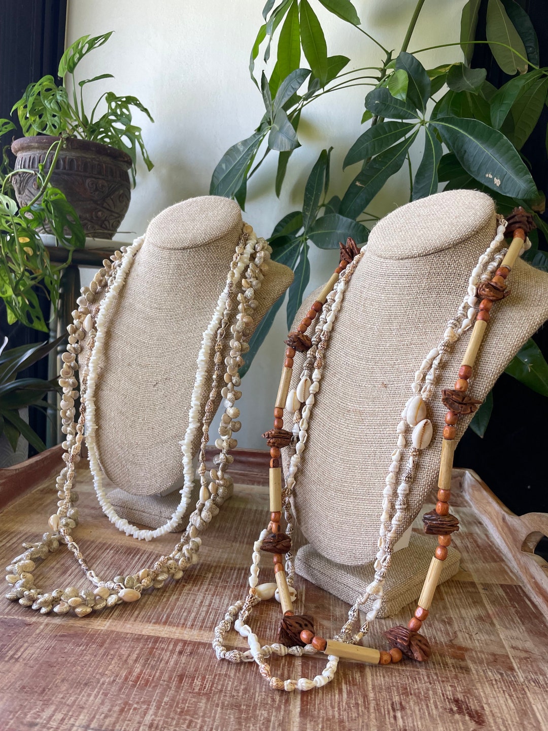 29 38 Beautiful Collection Set of 6 Seashell & Seed Leis Graduation ...