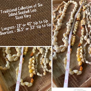 Rich Orange Collection Set of 6 Seashell Leis Various Lengths 42 33 ...