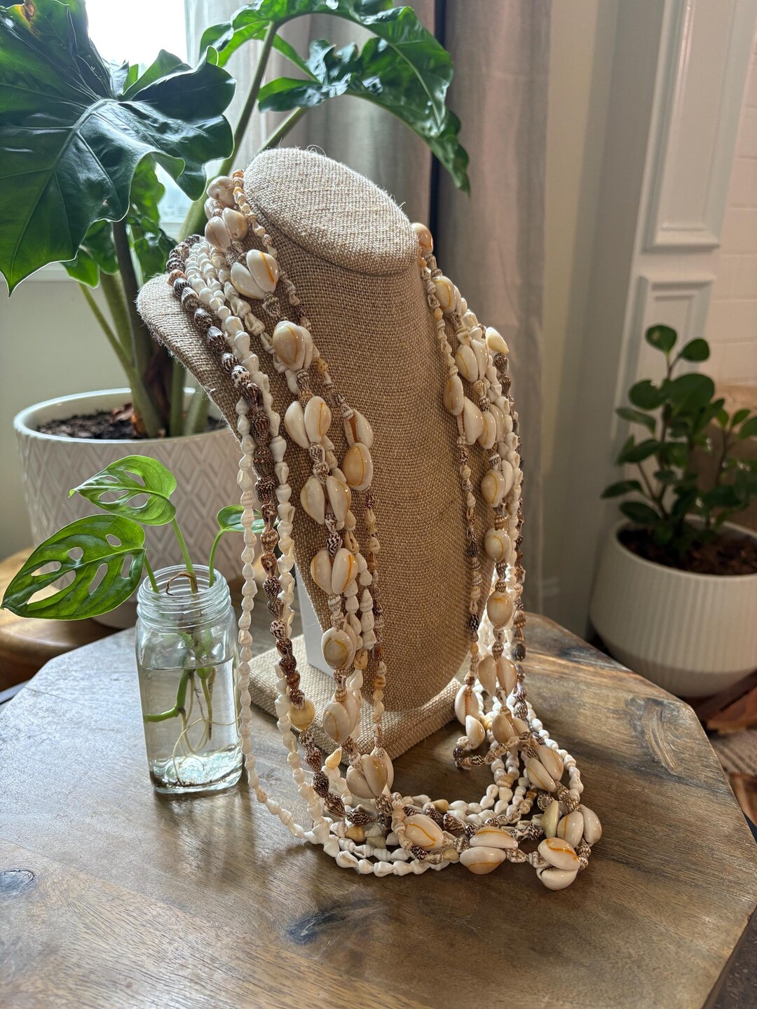 Seashell Lei Set: 6 Pacific Ocean Leis, Graduation Wedding Celebration ...