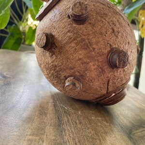 Hand Carved Coconut Piggy Bank – Guamanian Folk Art Display - Etsy