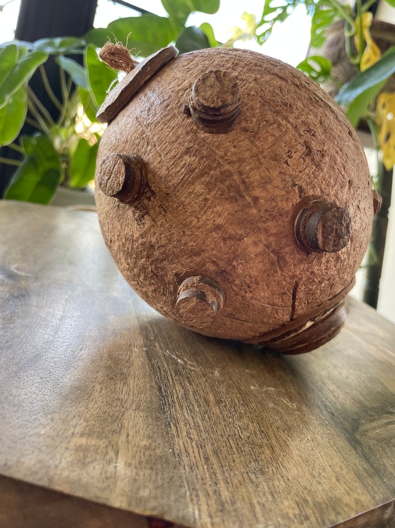 Hand Carved Coconut Piggy Bank – Guamanian Folk Art Display - Etsy