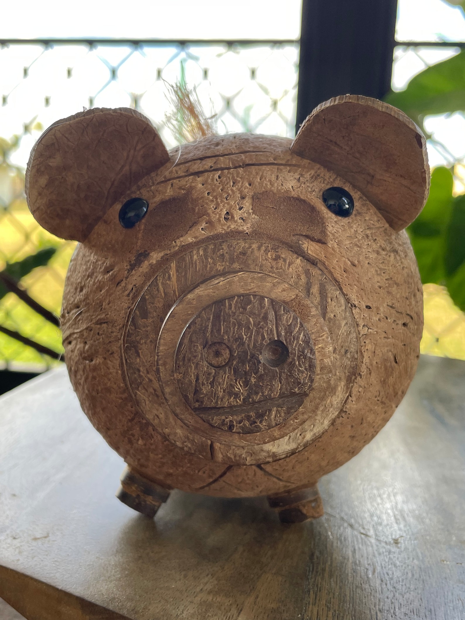 Hand Carved Coconut Piggy Bank – Guamanian Folk Art Display - Etsy