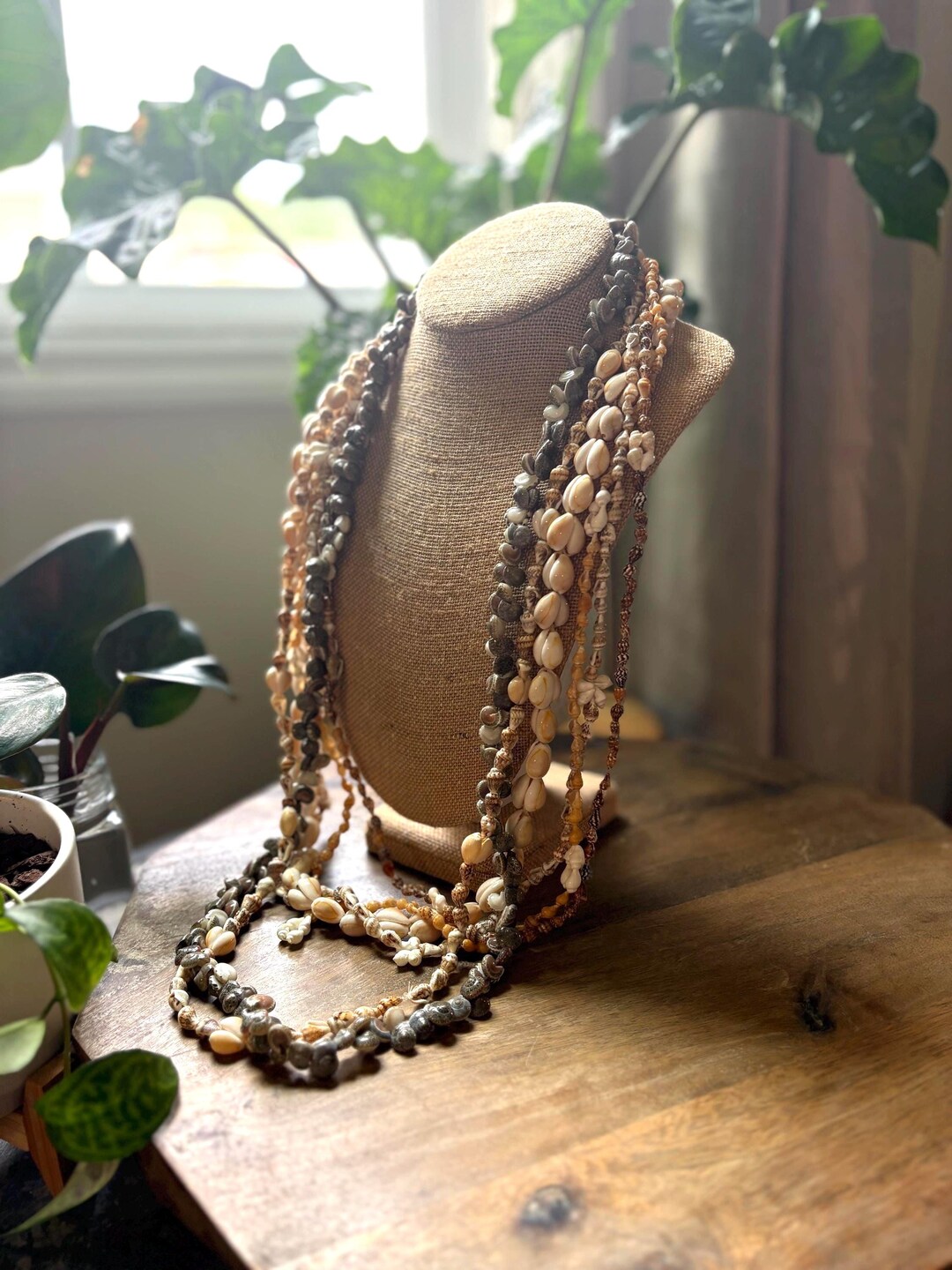 Authentic Seashell Lei Set – Pacific Island Celebration Leis (set of 6 ...