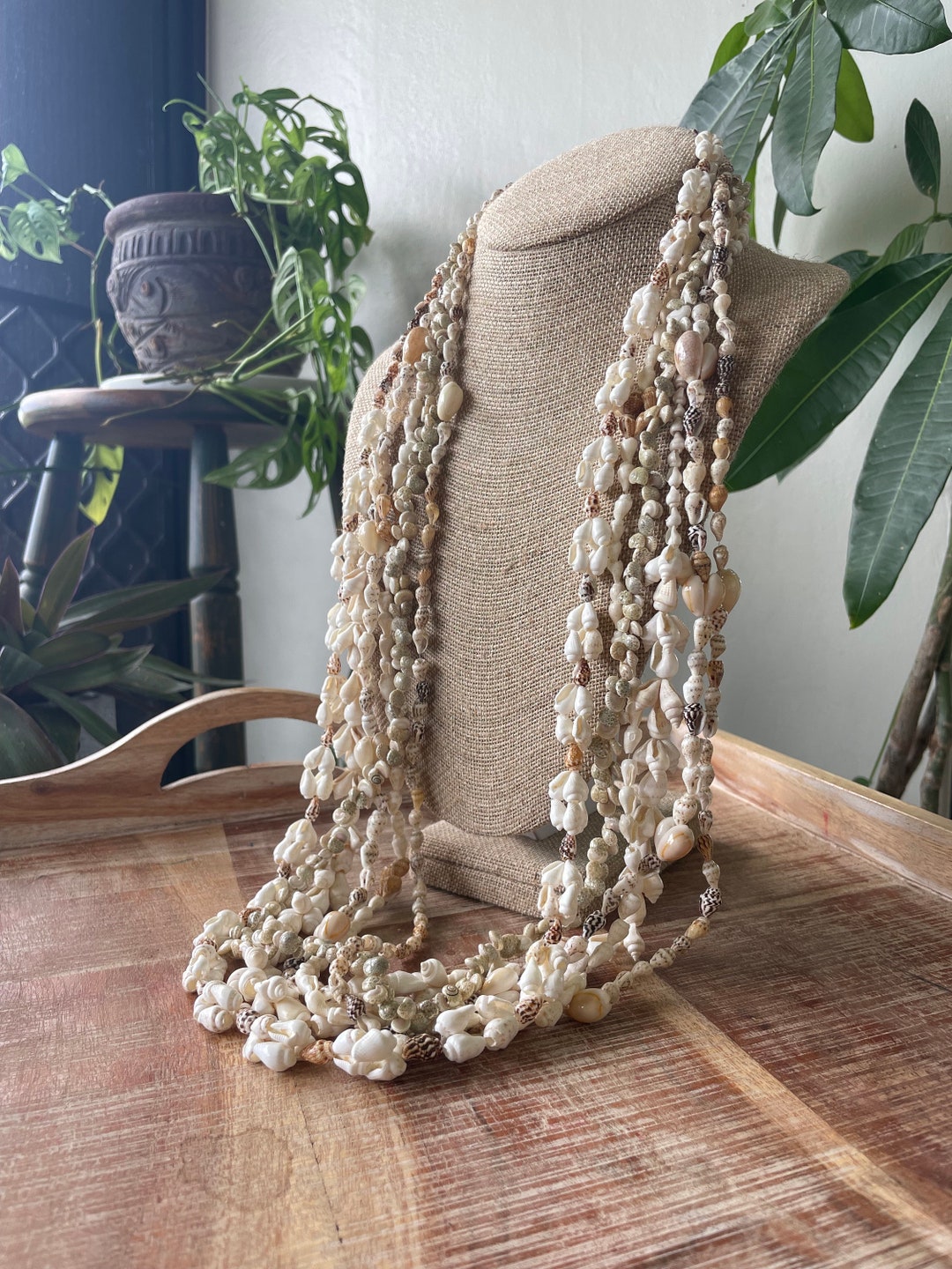 34-36” Beautiful Collection Set of 6 Seashell & Seed Leis - Graduation ...