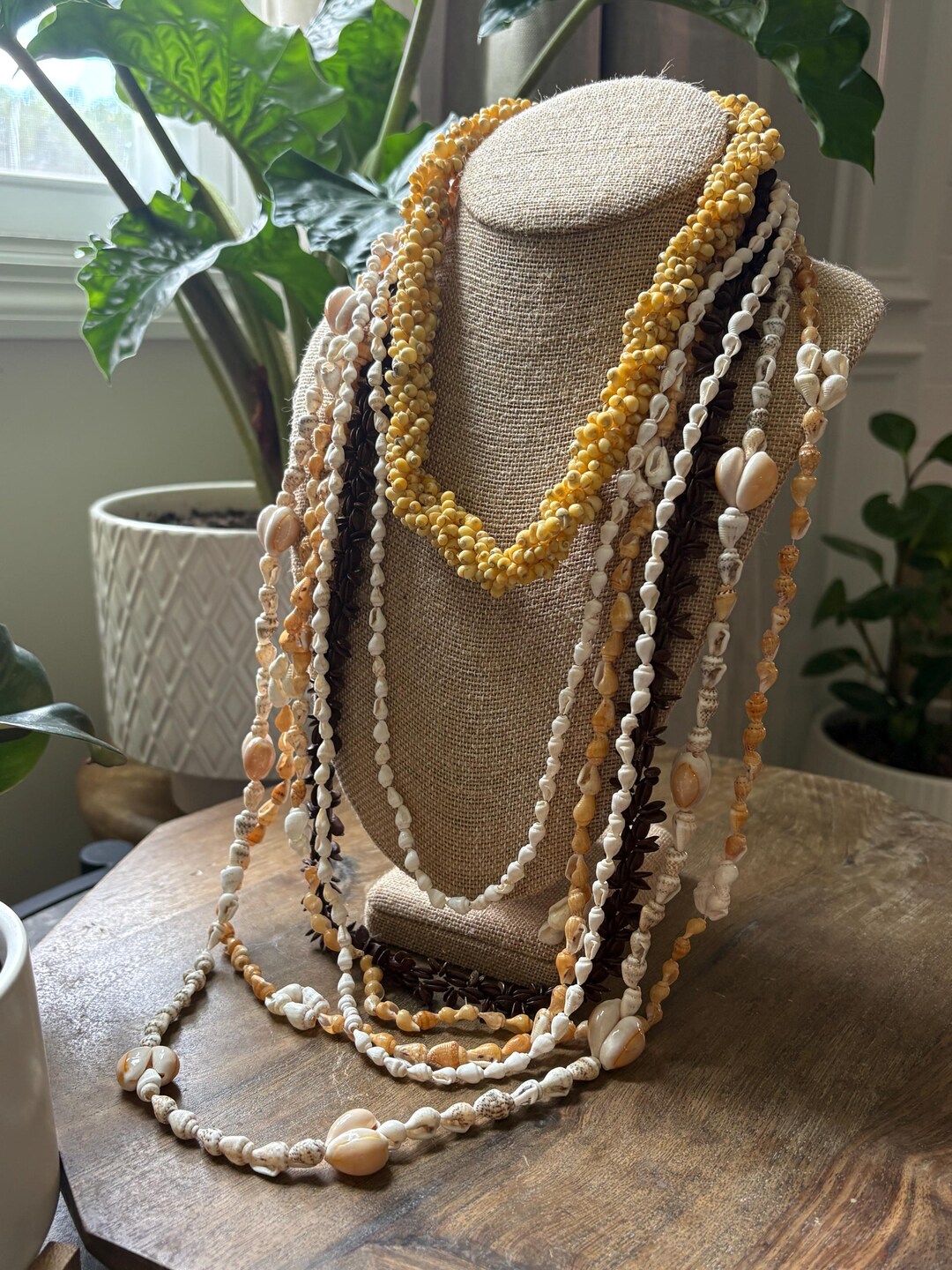 Seashell Lei Set: Authentic Pacific Ocean Shells, Celebration Leis - Etsy