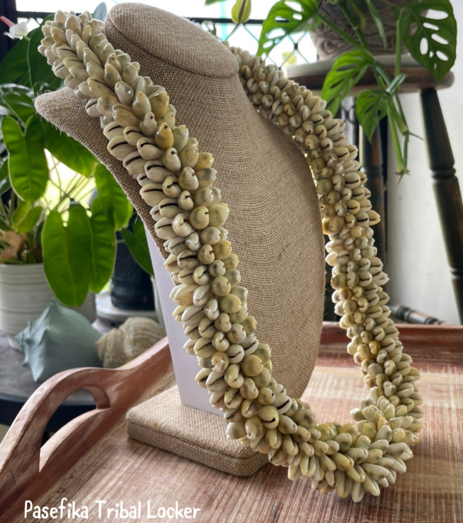 Authentic Cowerie Shell Lei, Natural Ribbon Tie Necklace, 30” - Etsy