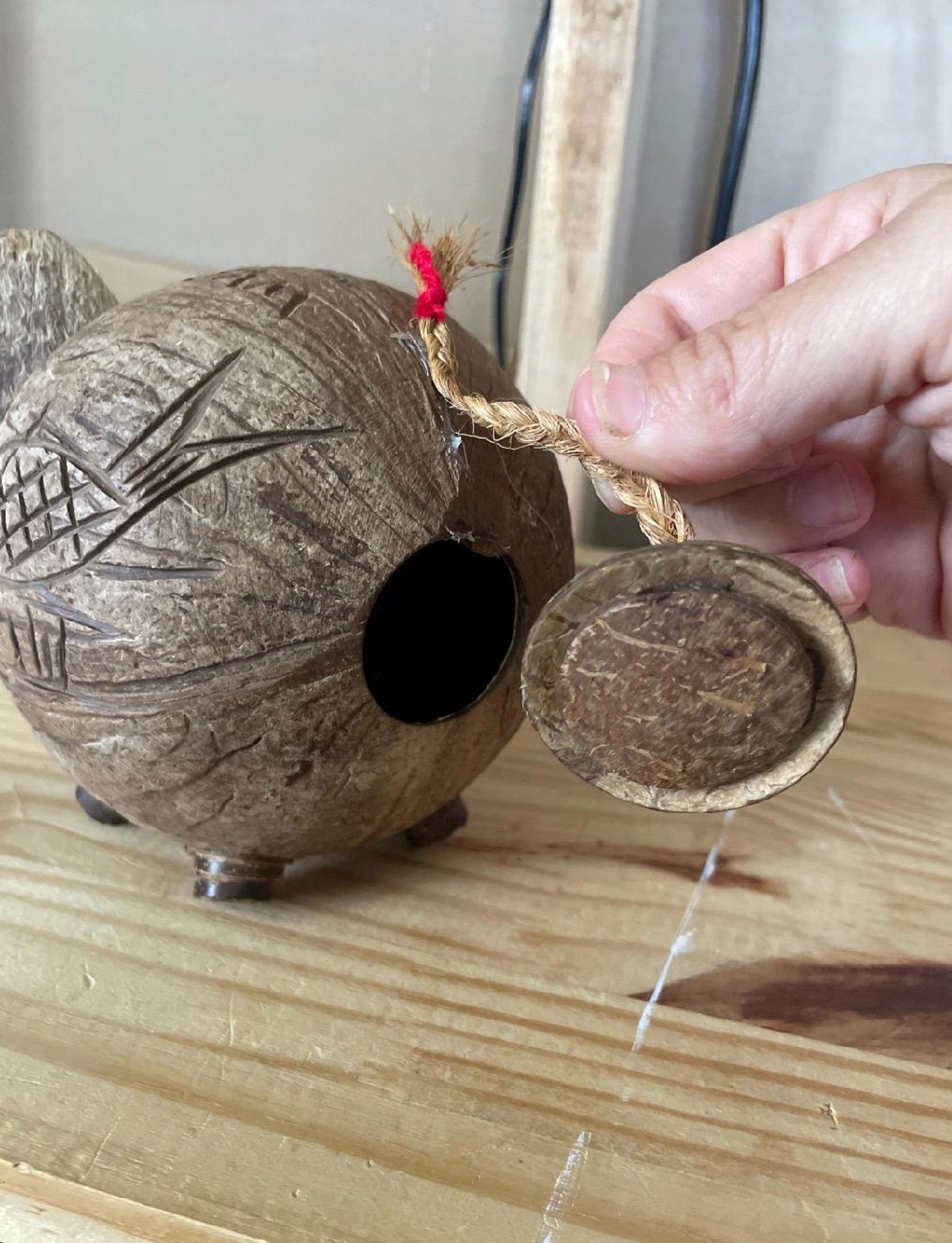 Hand Carved Coconut Piggy Bank – Guamanian Folk Art Display - Etsy