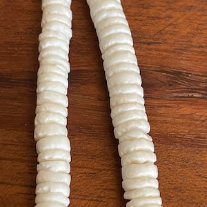 Polynesian 18 Beautiful Litub Shell Necklaces With Solid Primitively ...