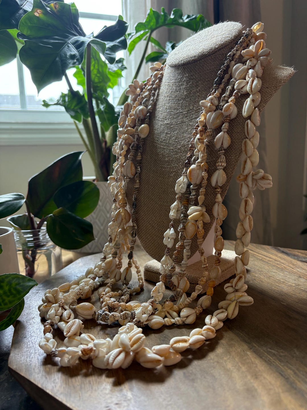 Seashell Lei Set: Authentic Hawaiian Celebration Leis, 6 Piece - Etsy
