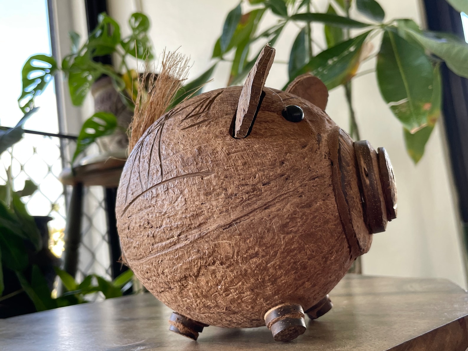 Hand Carved Coconut Piggy Bank – Guamanian Folk Art Display - Etsy