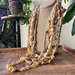 Rich Orange Collection Set of 6 Seashell Leis Various Lengths 42 33 ...