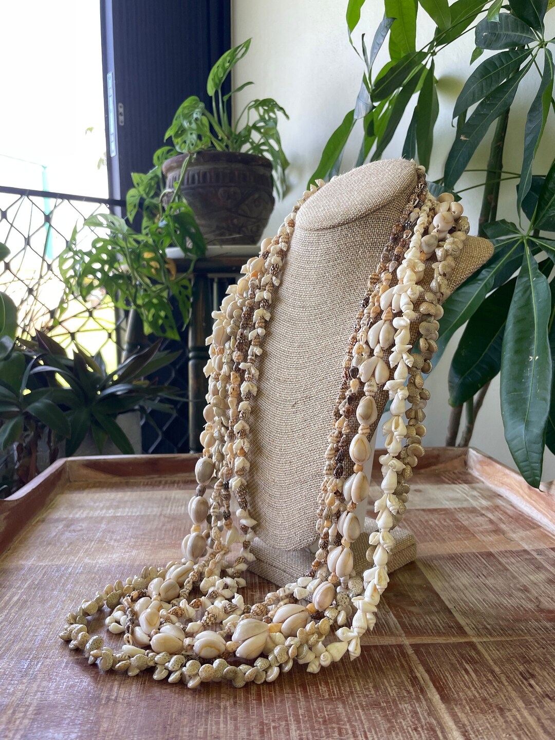 34”- 38.5” Beautiful Collection Set of 6 Seashell & Seed Leis ...