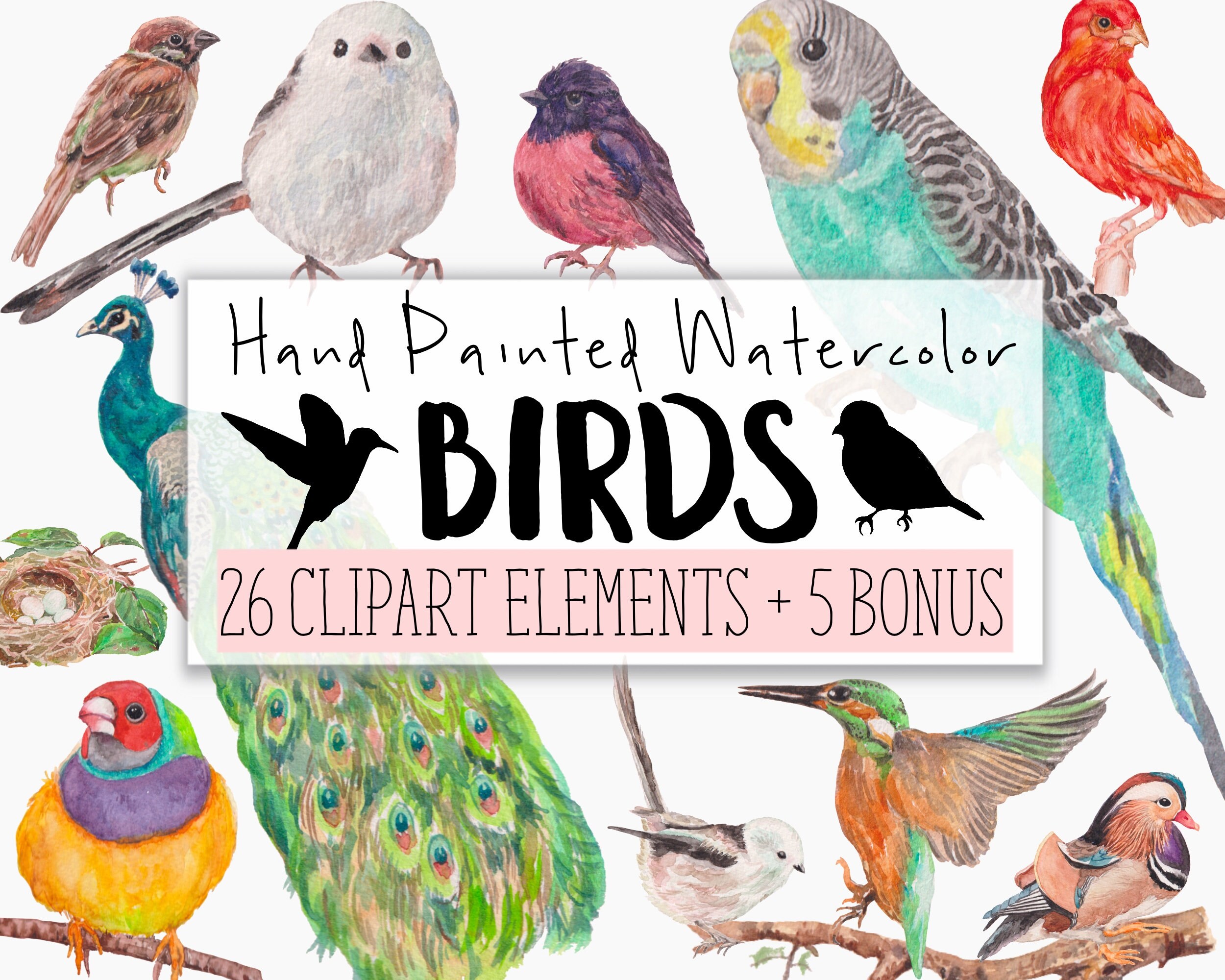 Birds Watercolor Clipart COMMERCIAL 26 Clip Art Images - Etsy