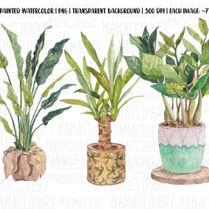 House Plants Watercolor Clipart COMMERCIAL | 22 Indoor Plants Clip Art ...