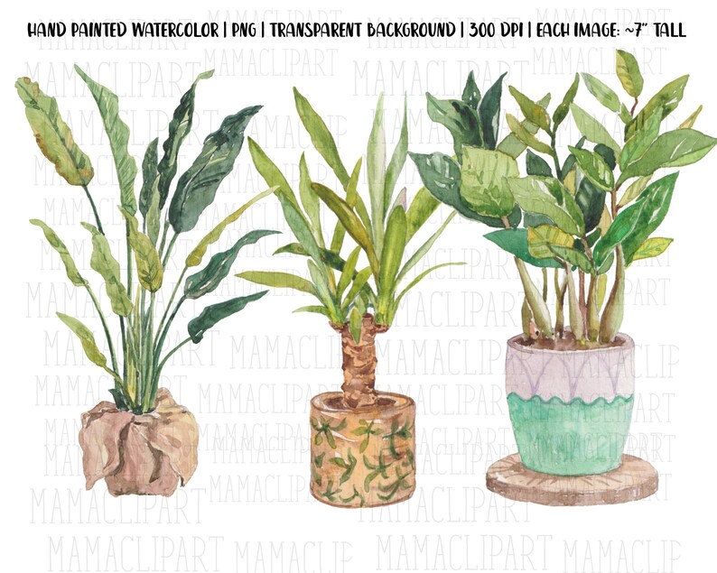 House Plants Watercolor Clipart COMMERCIAL USE 22 Indoor - Etsy