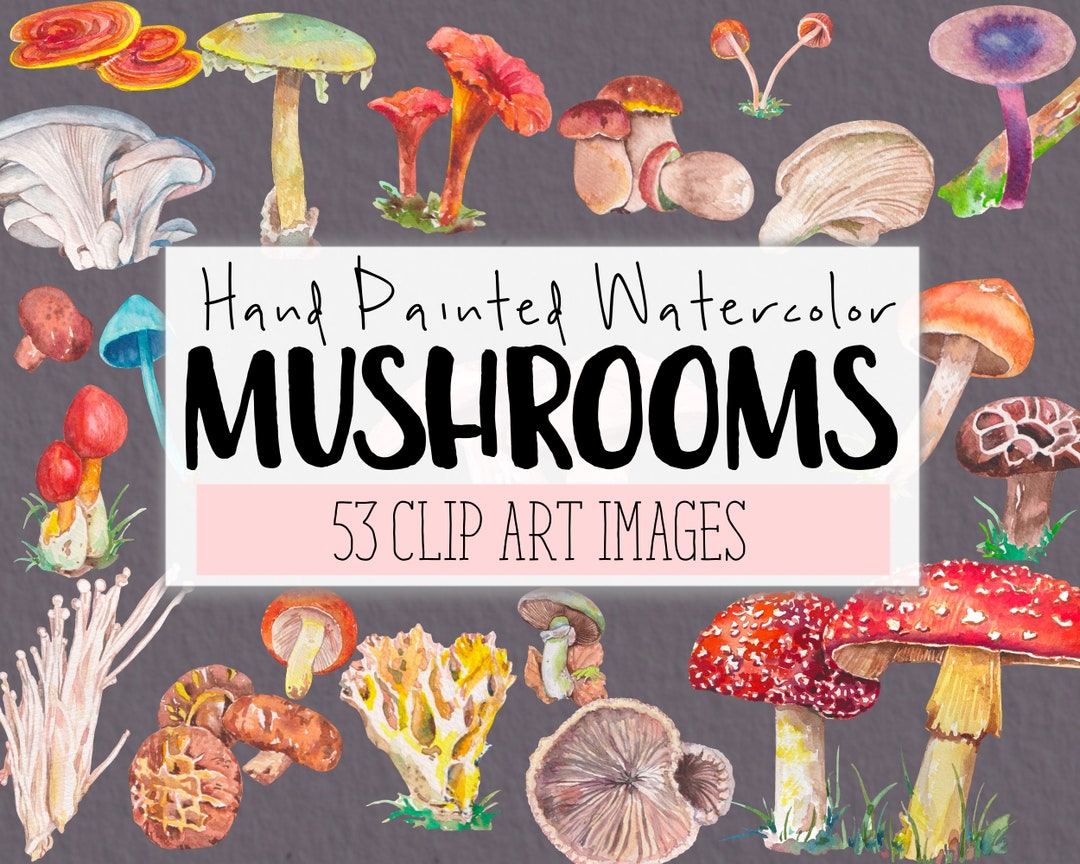 Mushrooms Watercolor Clipart COMMERCIAL | 53 Mushroom Assortment Clip ...
