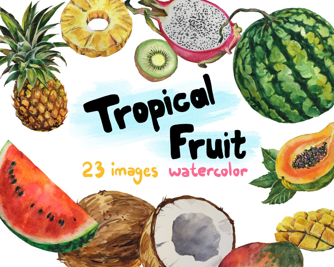 Tropical Fruit Watercolor Clipart COMMERCIAL | 23 Clip Art Images PNG ...