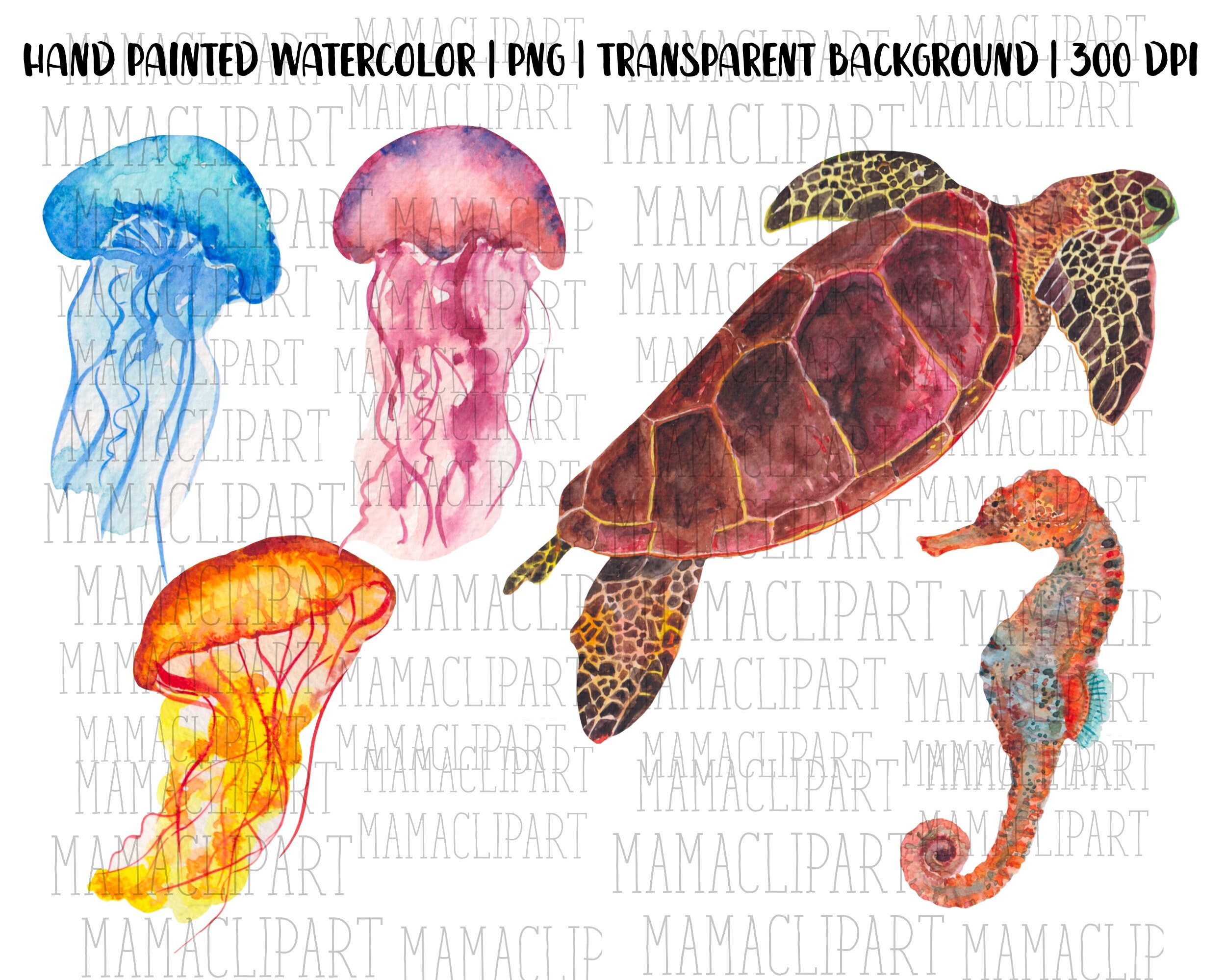 Sea Animals Watercolor Clipart COMMERCIAL 37 Sea Animals & - Etsy