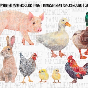 BARN ANIMALS Watercolor Clipart COMMERCIAL | 22 Farm Animals & Scene ...