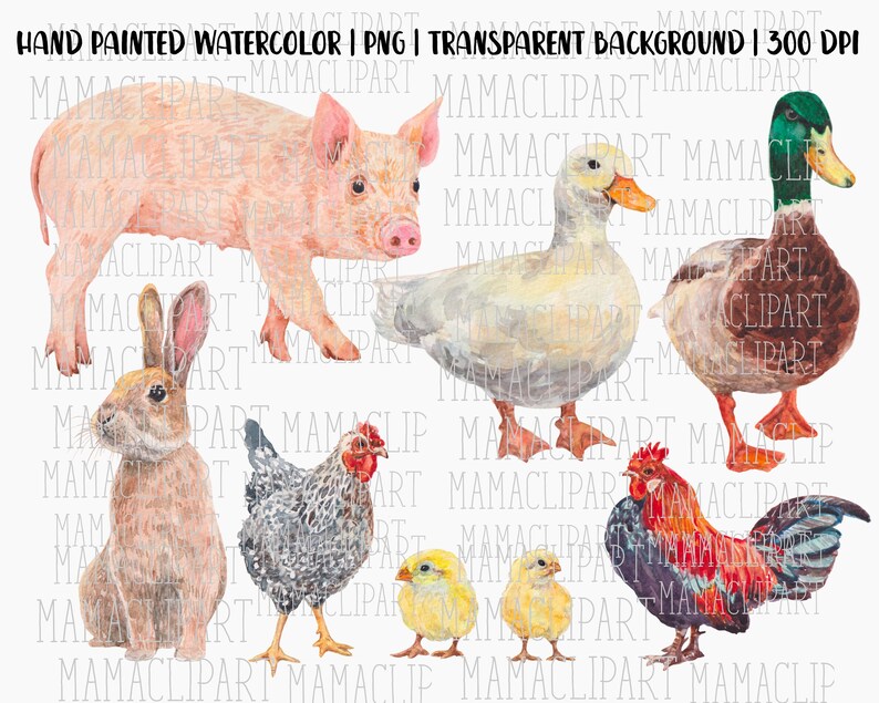 BARN ANIMALS Watercolor Clipart COMMERCIAL | 22 Farm Animals & Scene ...
