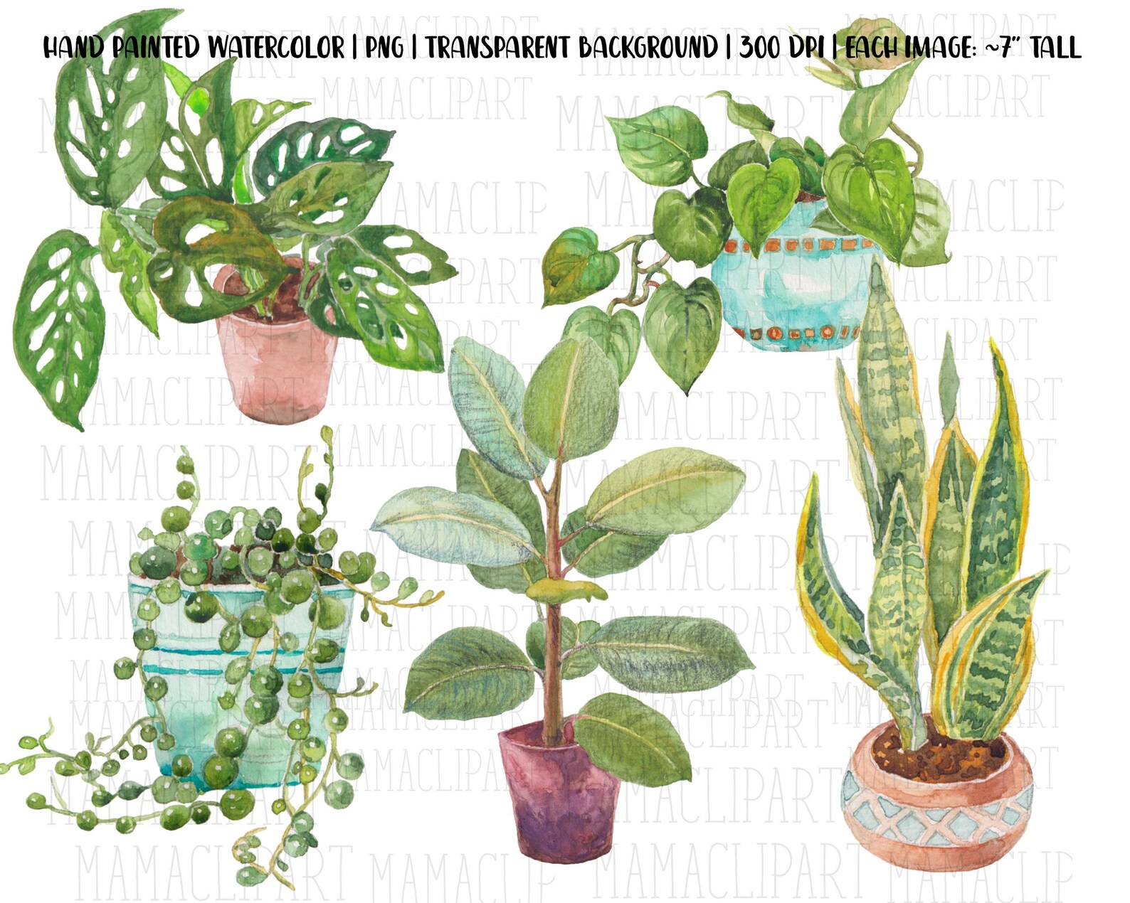 House Plants Watercolor Clipart COMMERCIAL 22 Indoor Plants Clip Art ...