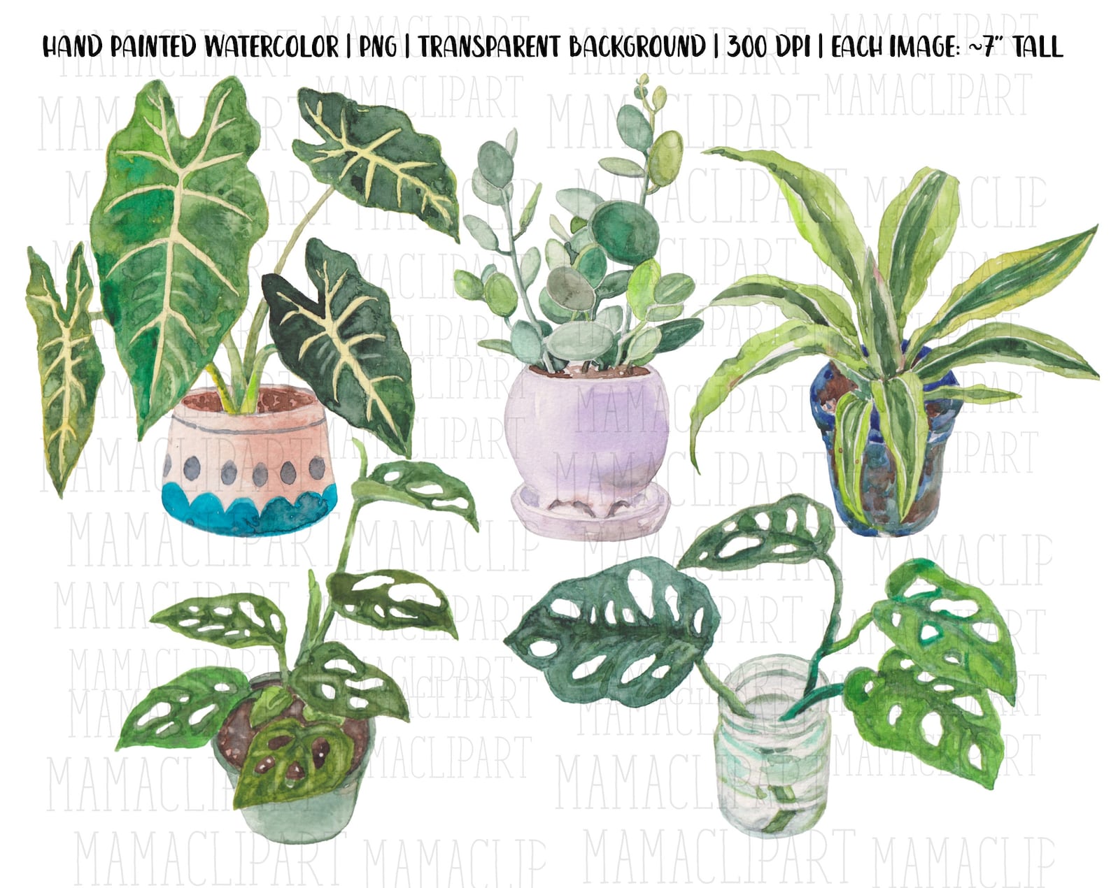 House Plants Watercolor Clipart COMMERCIAL 22 Indoor Plants Clip Art ...