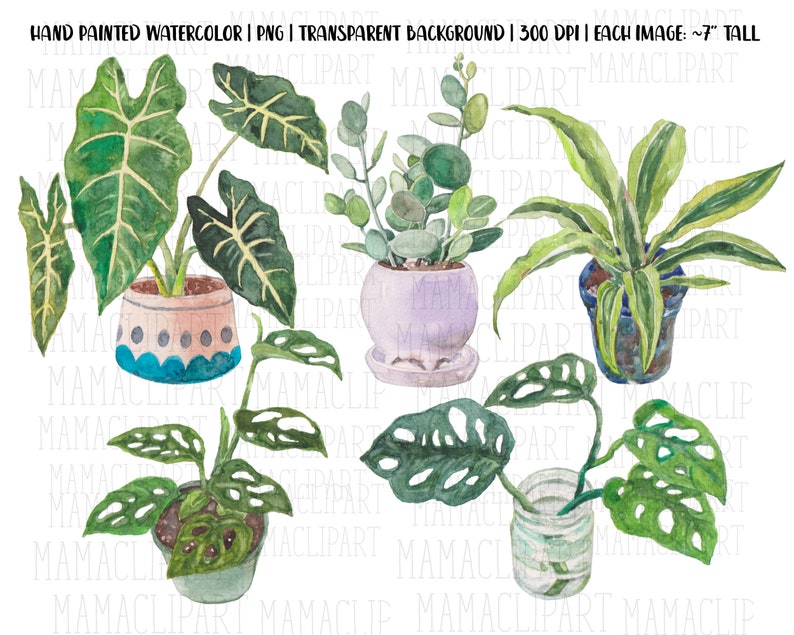 House Plants Watercolor Clipart COMMERCIAL USE 22 Indoor - Etsy