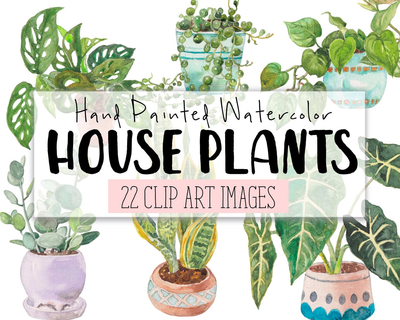 House Plants Watercolor Clipart COMMERCIAL | 22 Indoor Plants Clip Art ...