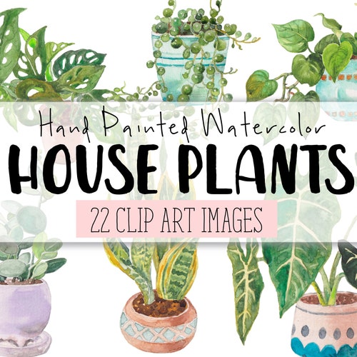 House Plants Watercolor Clipart COMMERCIAL 22 Indoor Plants - Etsy