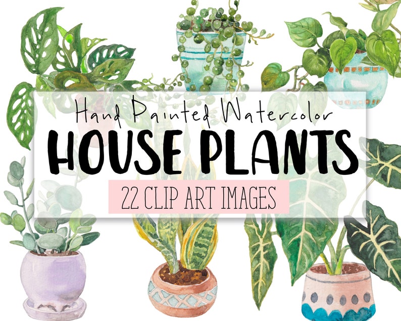 House Plants Watercolor Clipart COMMERCIAL USE 22 Indoor - Etsy