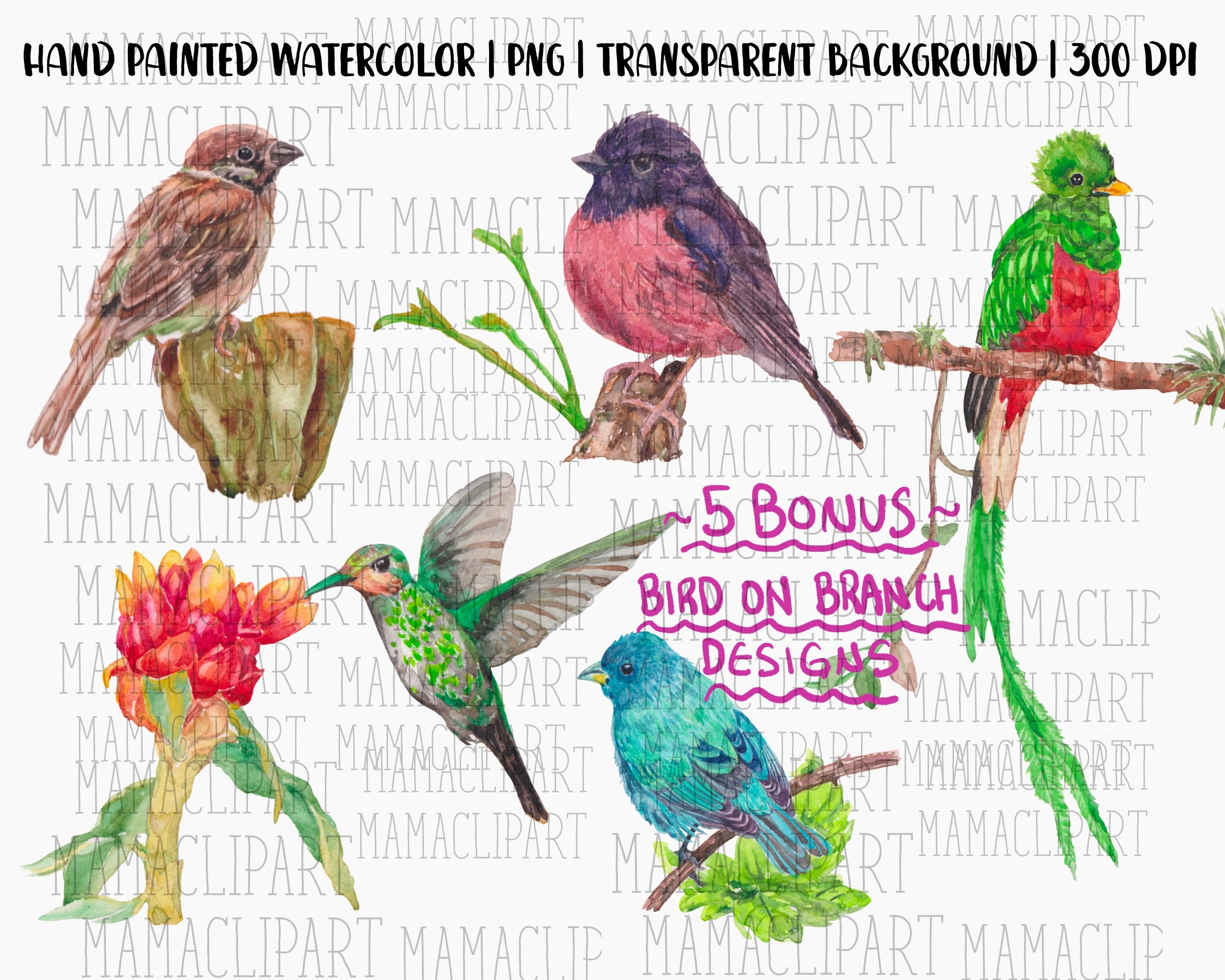 Birds Watercolor Clipart COMMERCIAL 26 Clip Art Images - Etsy
