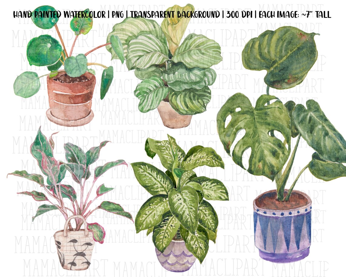 House Plants Watercolor Clipart COMMERCIAL | 22 Indoor Plants Clip Art ...