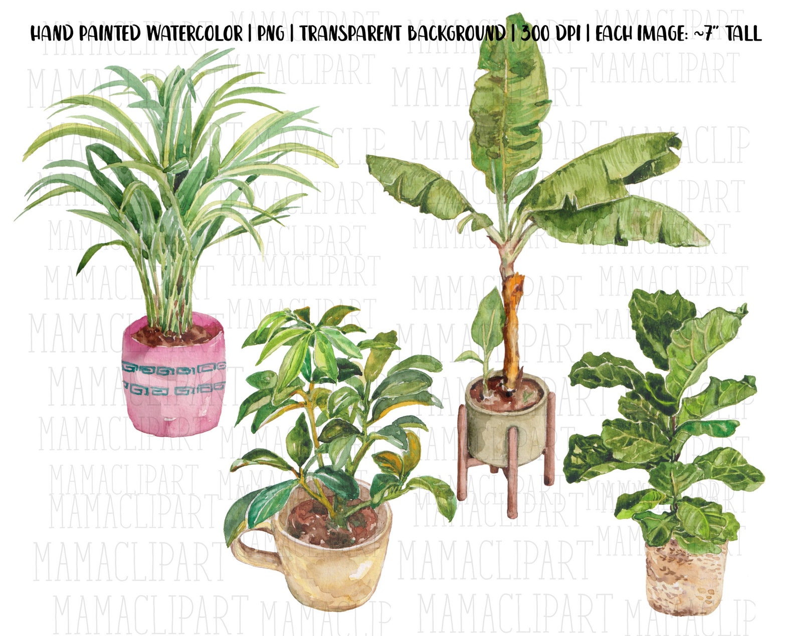 House Plants Watercolor Clipart COMMERCIAL 22 Indoor Plants Clip Art ...