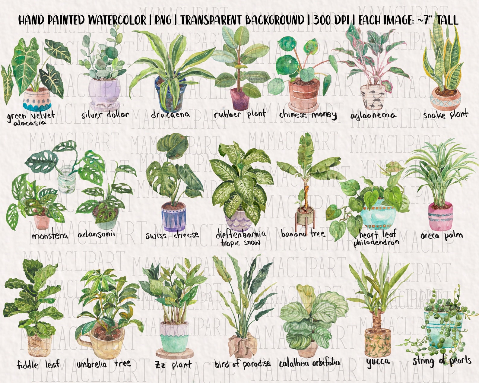 House Plants Watercolor Clipart COMMERCIAL 22 Indoor Plants Clip Art ...
