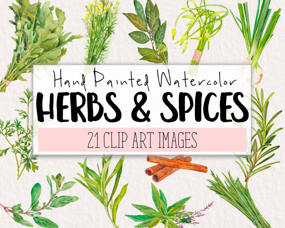 Herbs Spices Watercolor Clipart COMMERCIAL 21 Herbs Spices Clip Art ...