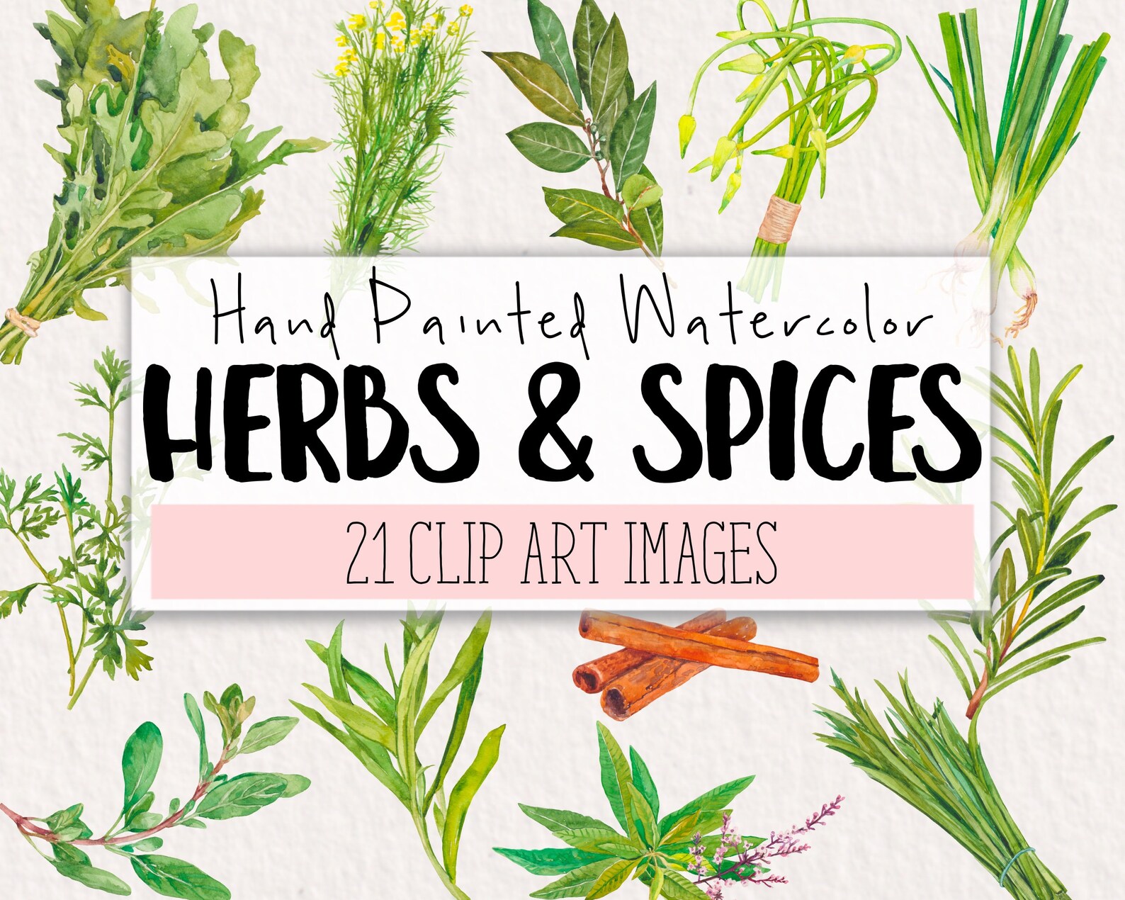 Herbs Spices Watercolor Clipart COMMERCIAL | 21 Herbs Spices Clip Art ...