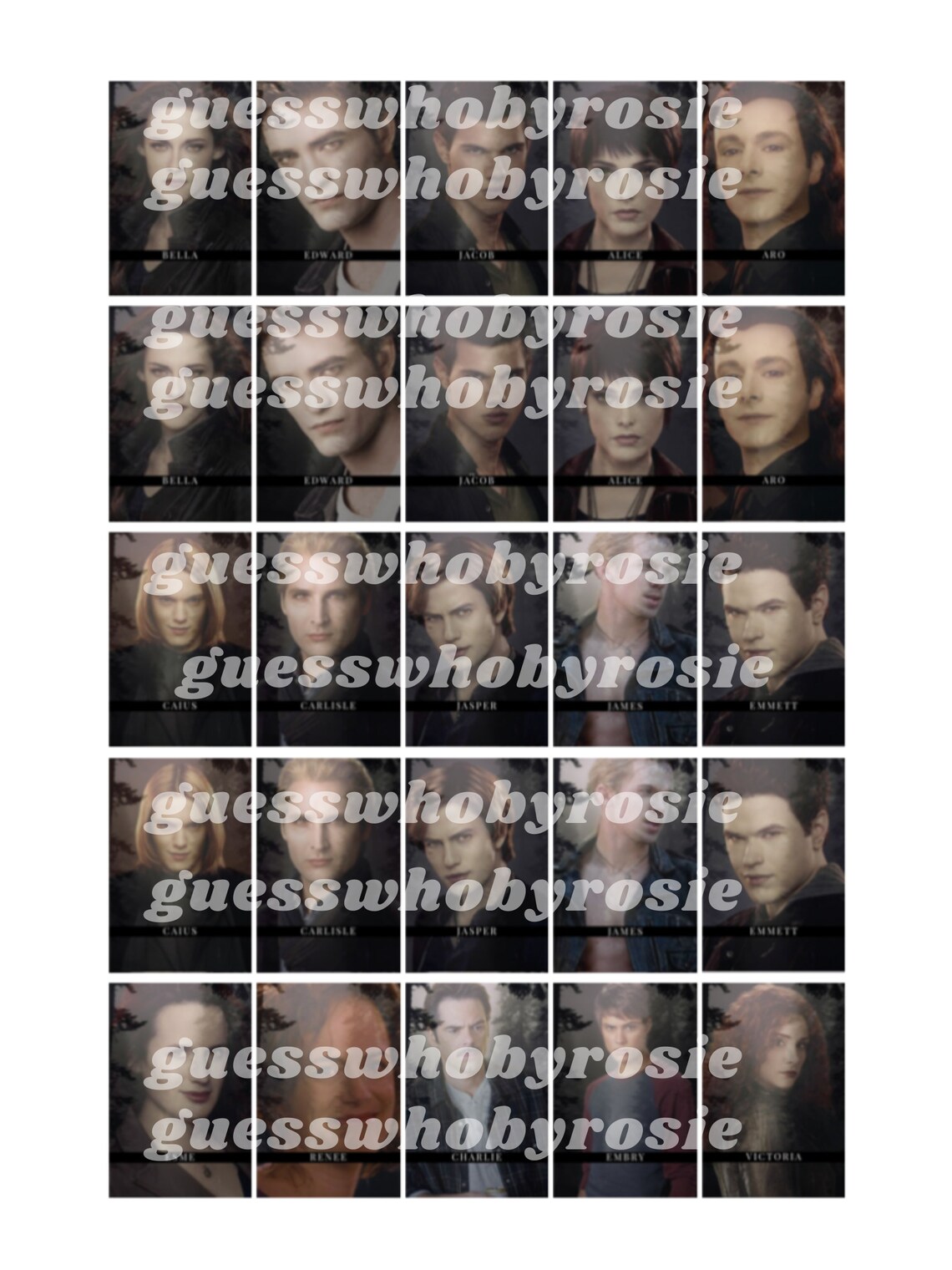 Printable Guess Who? Cards - TWILIGHT Edition - Etsy