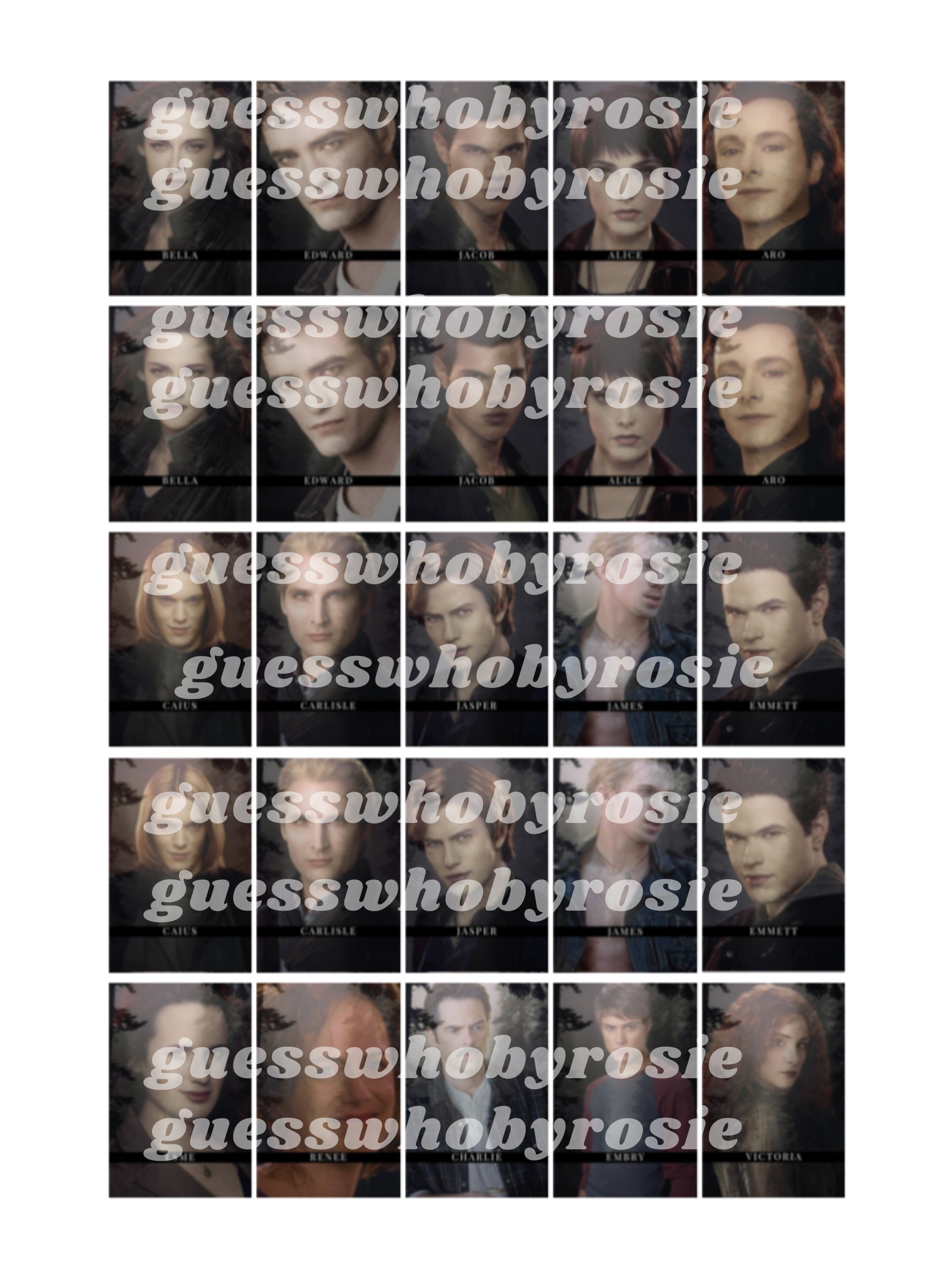Printable Guess Who? Cards - TWILIGHT Edition - Etsy