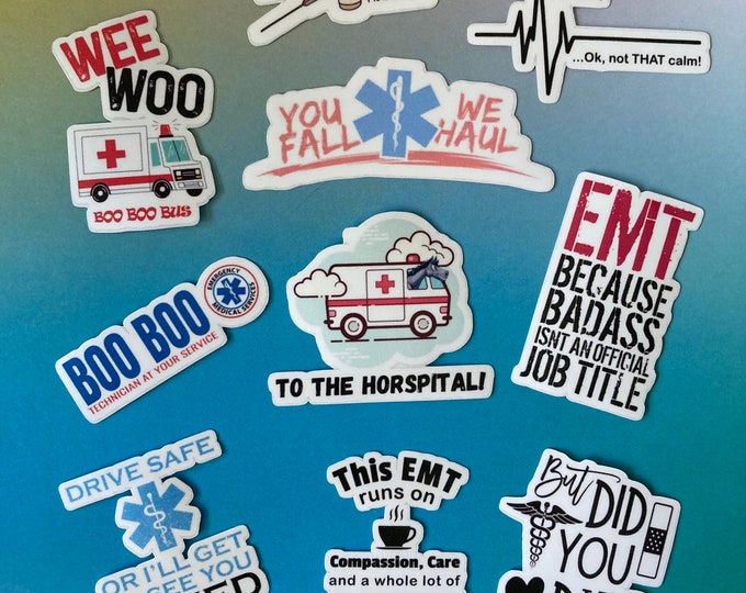 PT Stickers Physical Therapy Gifts Physical Therapist Gifts Physical ...