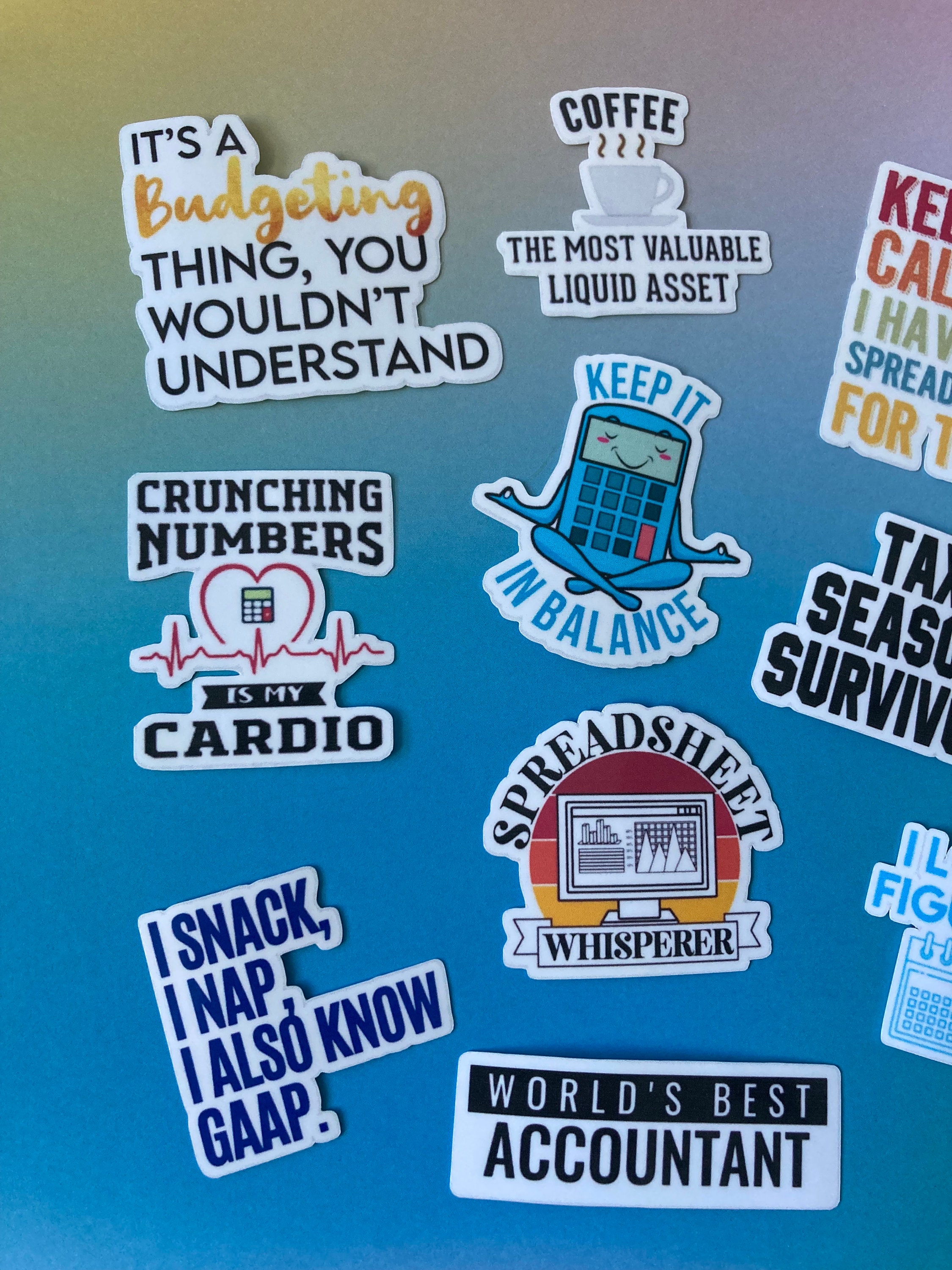 CPA Gift | Accountant Gift | CPA Stickers | Accountant Stickers | Funny ...