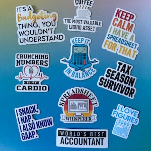 CPA Gift | Accountant Gift | CPA Stickers | Accountant Stickers | Funny ...