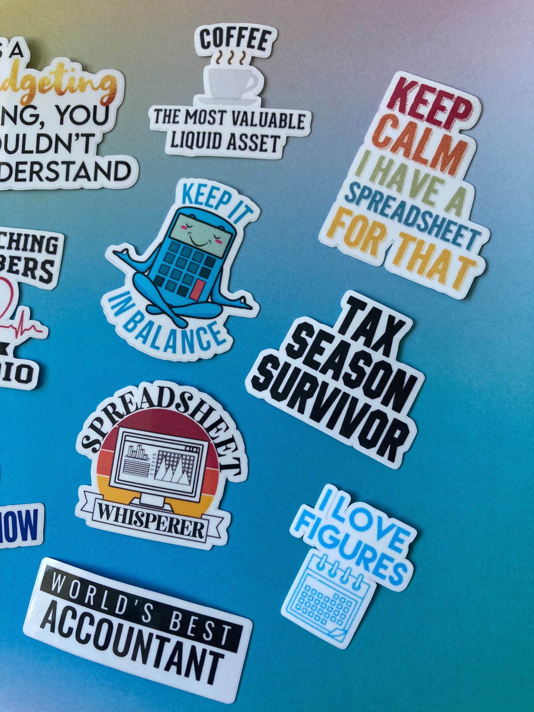 CPA Gift | Accountant Gift | CPA Stickers | Accountant Stickers | Funny ...