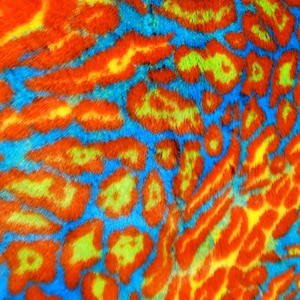 Neon HOT LAVA Cheetah Leopard Faux Fur Fabric 62" by the Half or Full ...