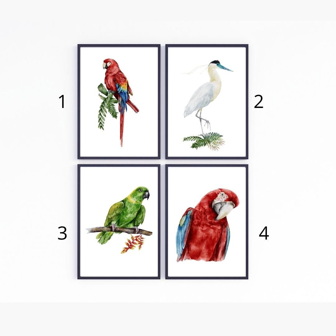 Rainforest Animal Watercolour Print, Tropical Birds Wall Art, Home ...