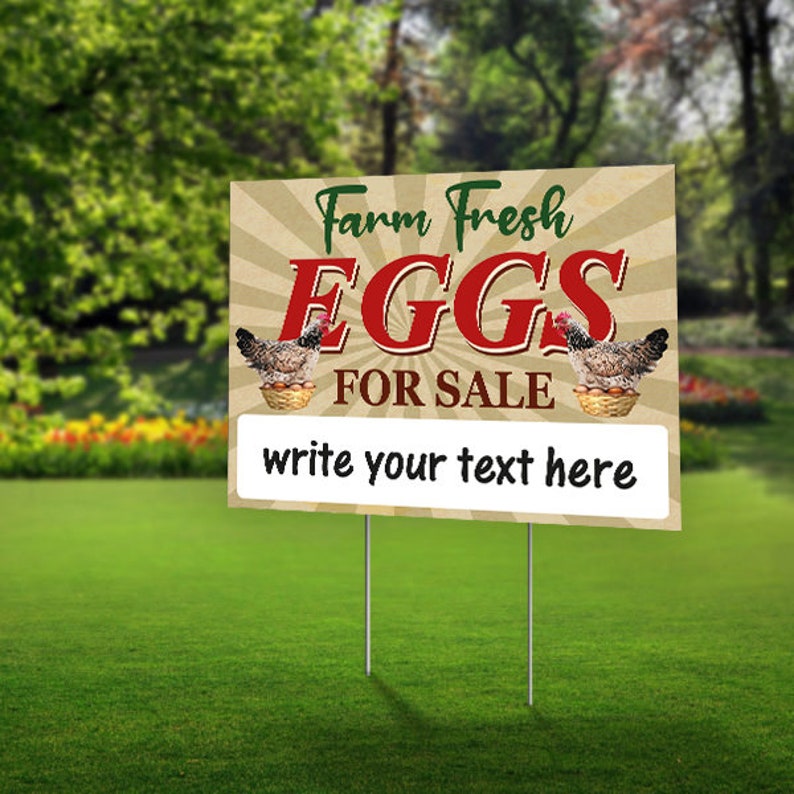 Farm Fresh Eggs for Sale Yard Sign Fresh Eggs for Sale Sign - Etsy